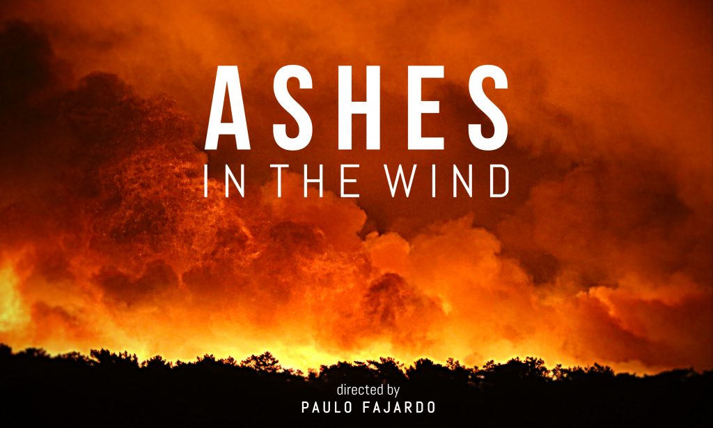 Finalists 2018 – Short cut